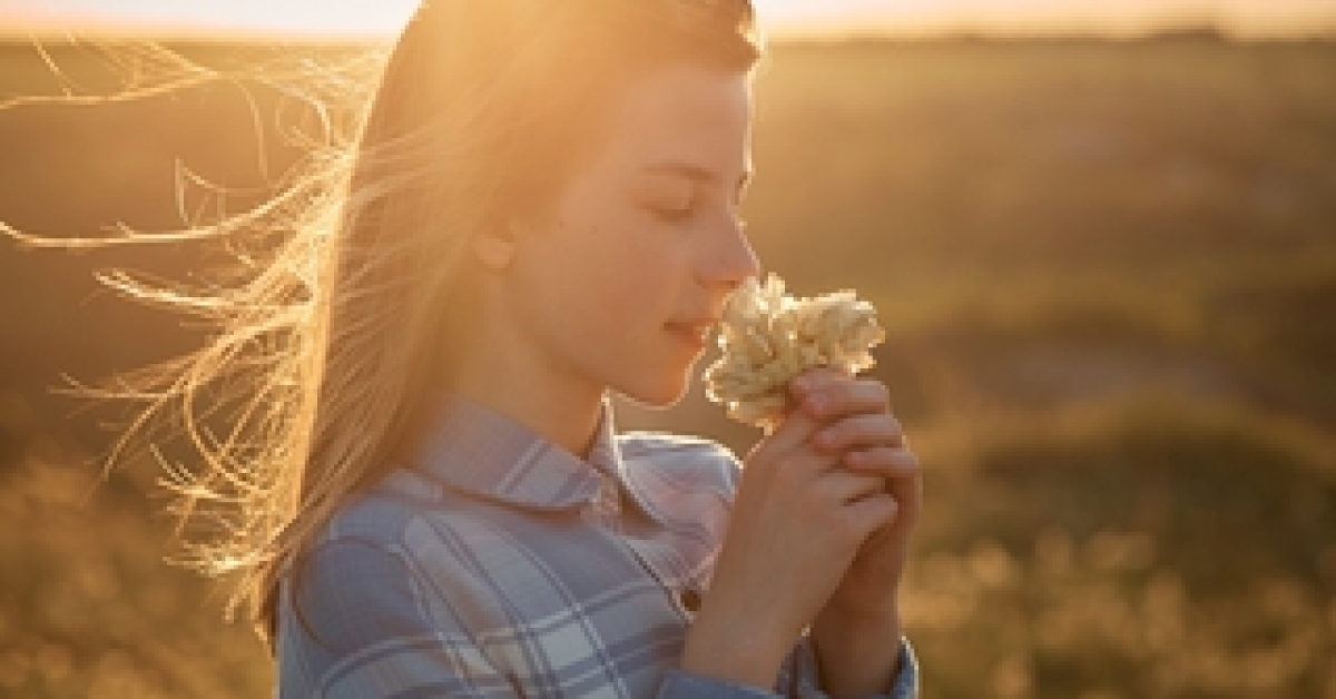 Akár 75%-kal jobb lehet a memóriád, ha sokat szagolgatod ezt a növényt